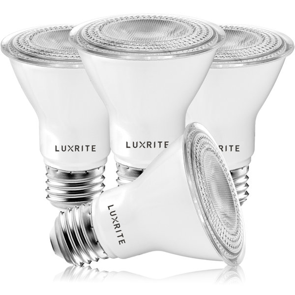 Luxrite 7 watts (50 watts équivalents), DEL PAR20, ampoule à intensité ...